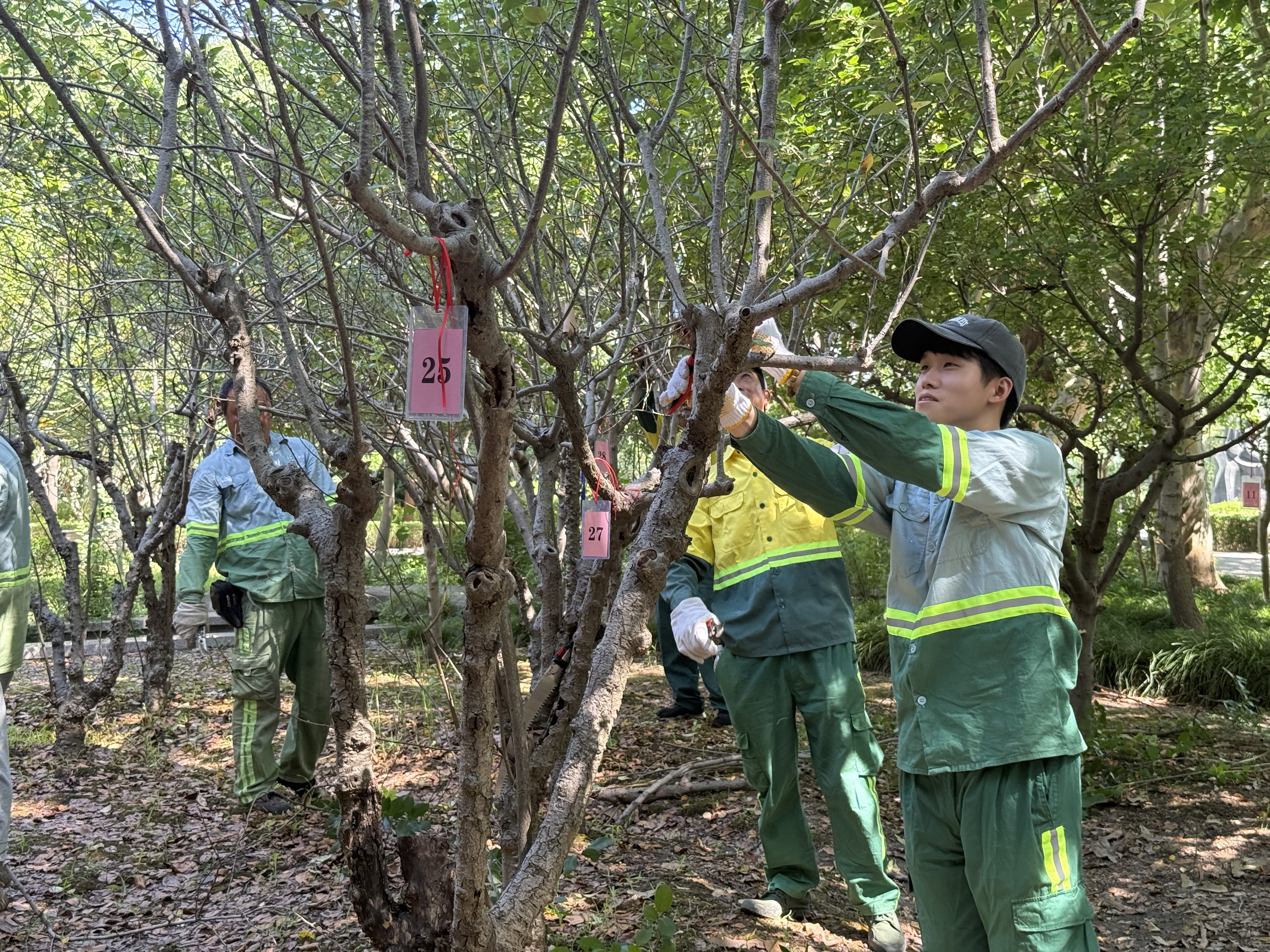 【城投集团】党建引领聚合力，共谱公共服务新篇章