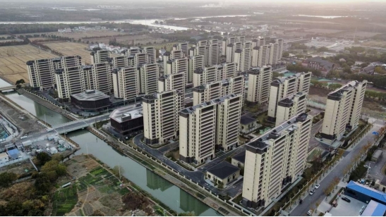 强农村党建·促乡村振兴︱石湖荡镇举办“党建联建聚力浦江首，打造新城建设样板实践区”主题党日观摩交流会暨“汇智山水”片区学习交流会